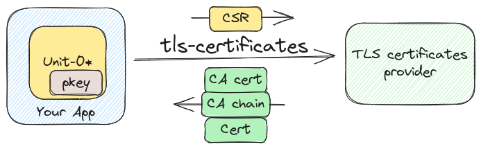 The TLS Certificate Interface Documentation - charm - Charmhub
